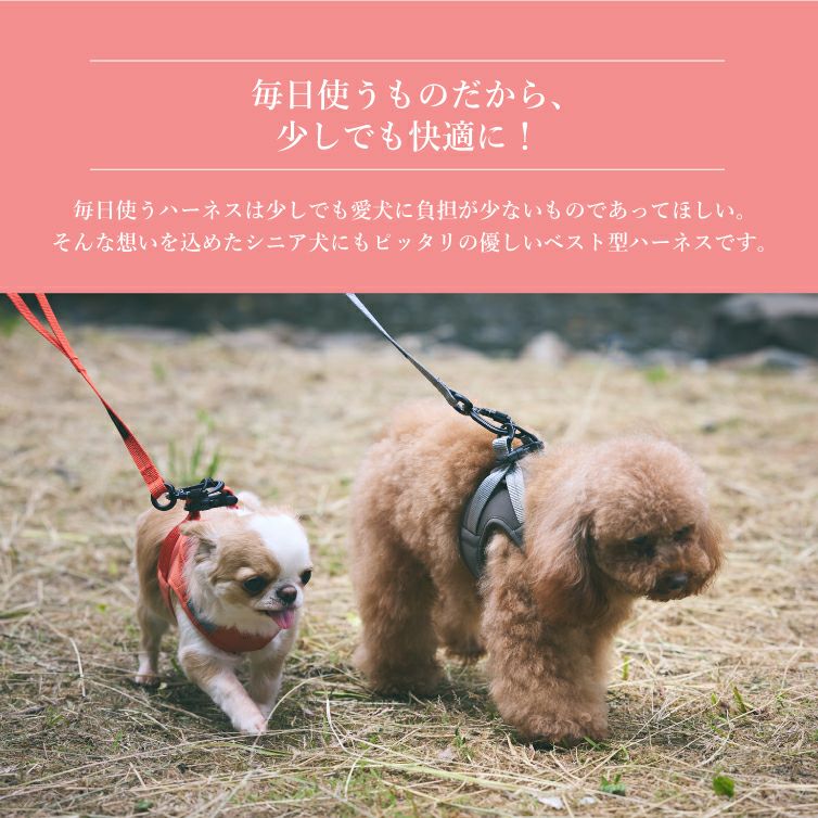 犬 ハーネス 】iDog TREKNINE ハーネス コンフォートAIR ベスト 犬 ハーネス 】iDog TREKNINE ハーネス コンフォートAIR ベスト